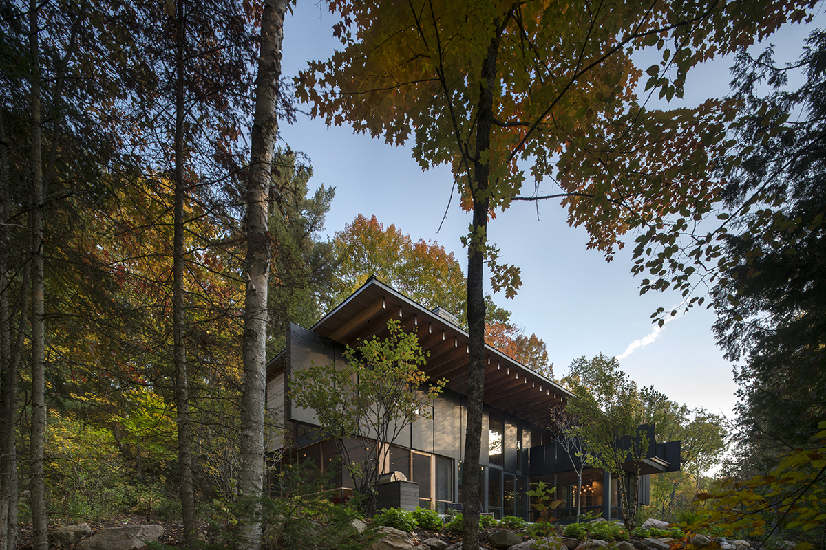 The Bear Stand - Architect Magazine