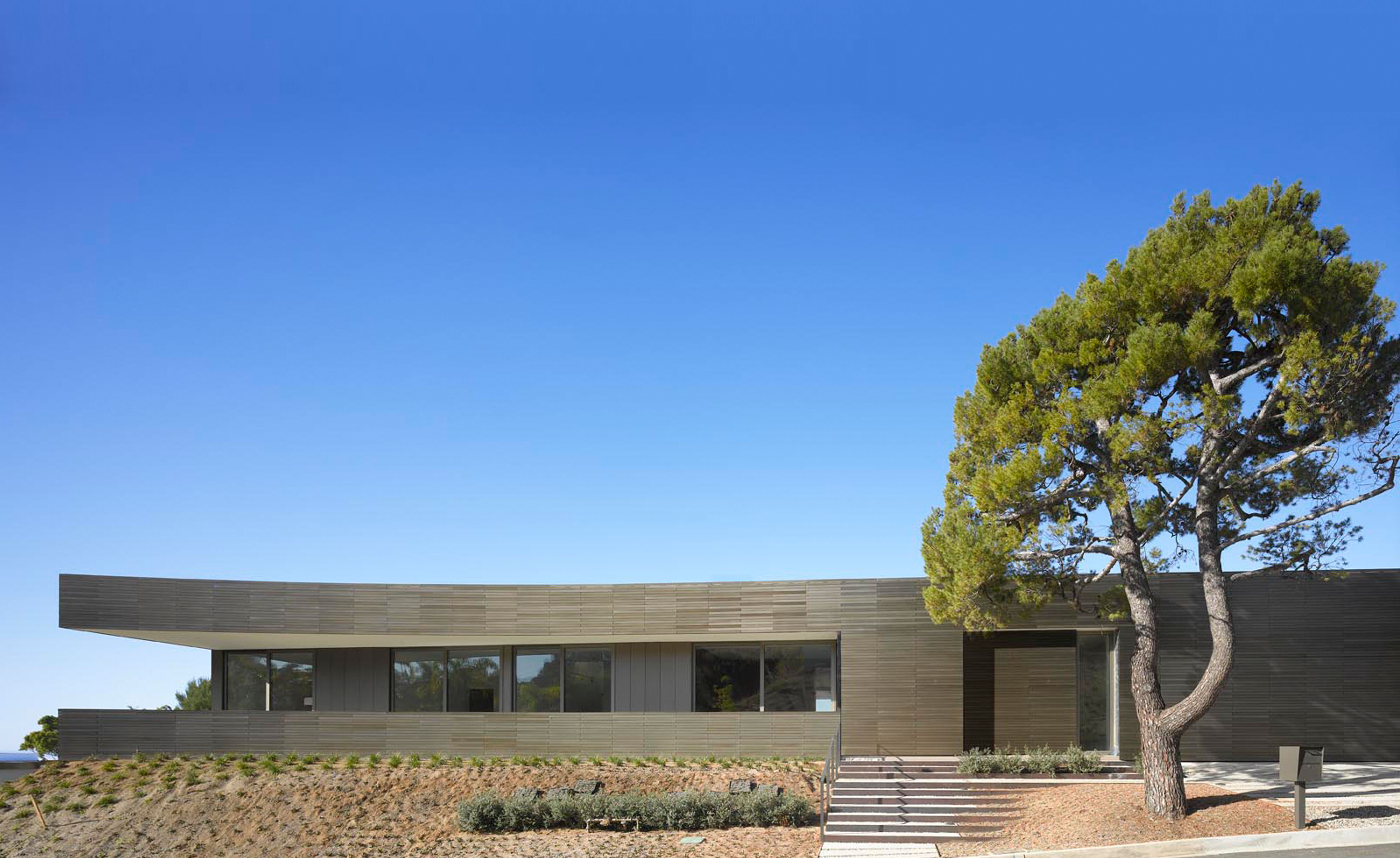 Double Stick - Architect Magazine