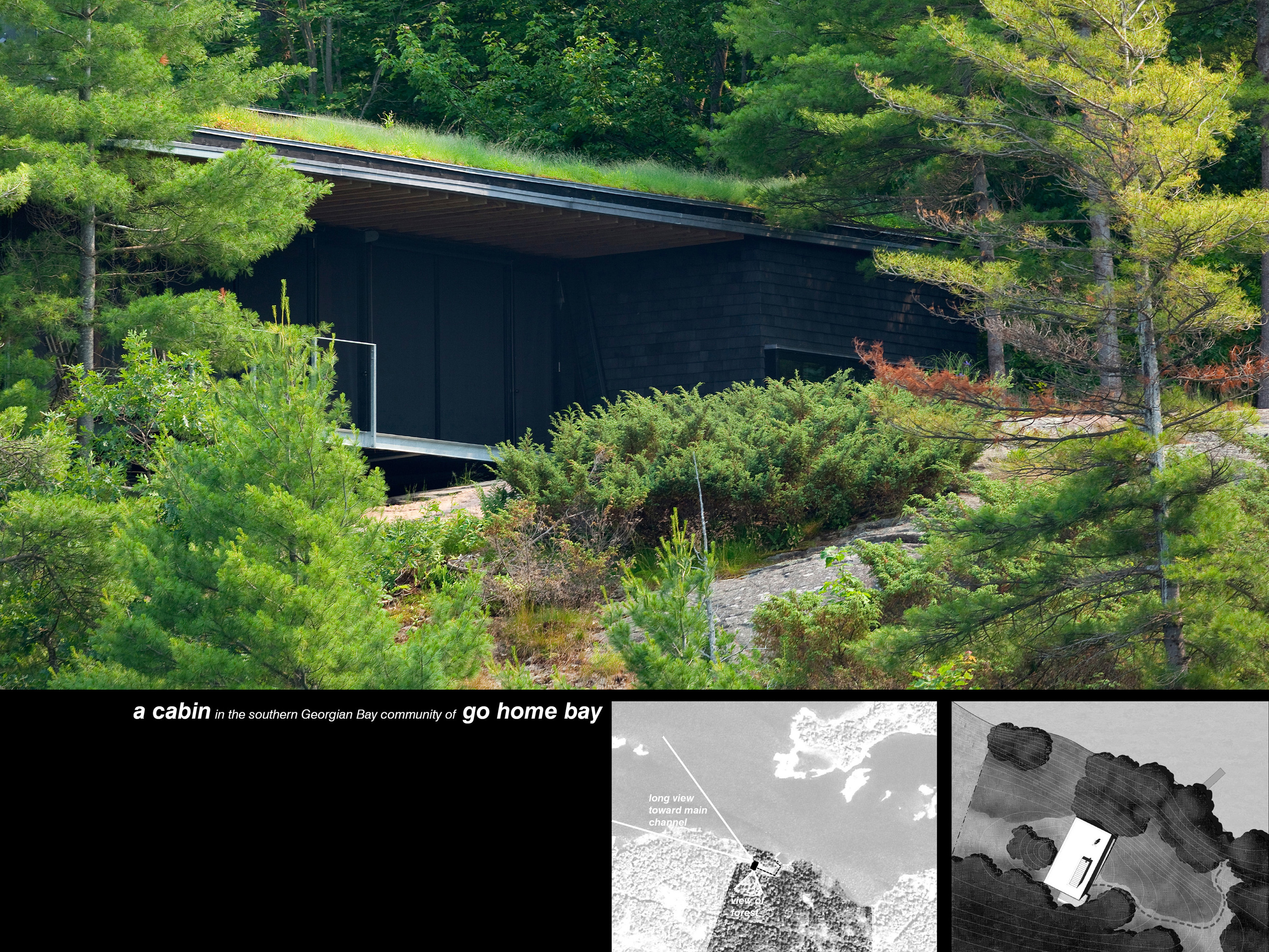 Go Home Bay Cabin - Architect Magazine