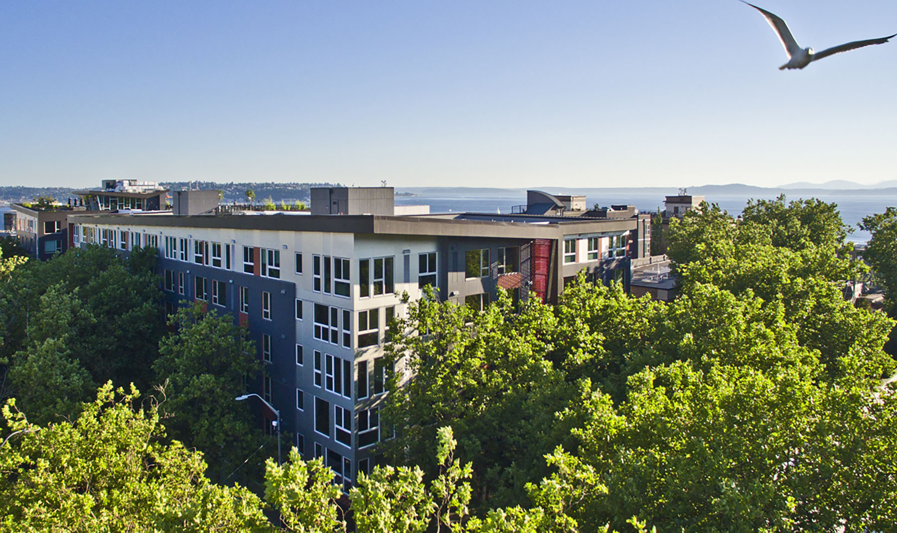 Astro Apartments - Architect Magazine