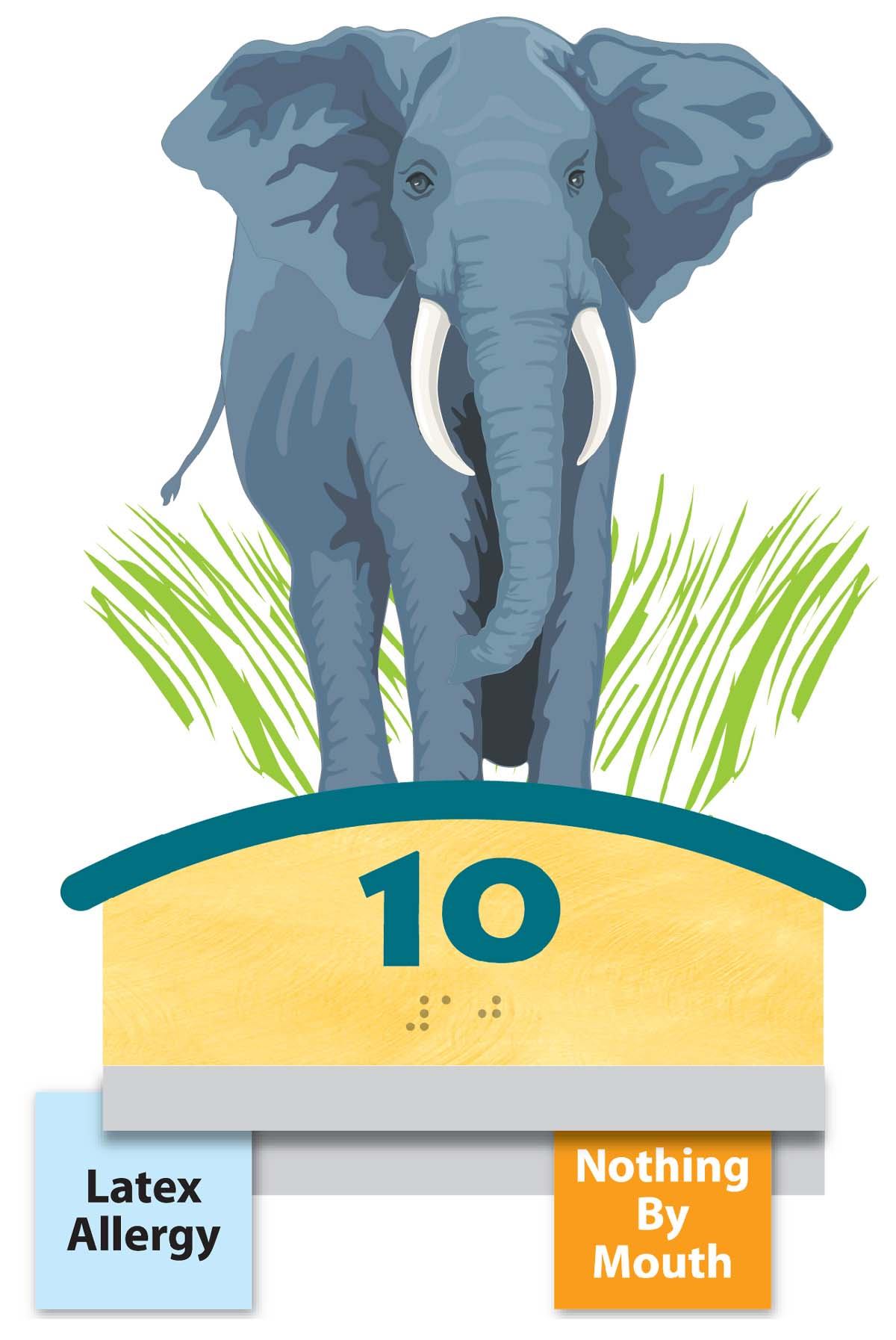 Pediatric wayfinding from DMR Sign Systems