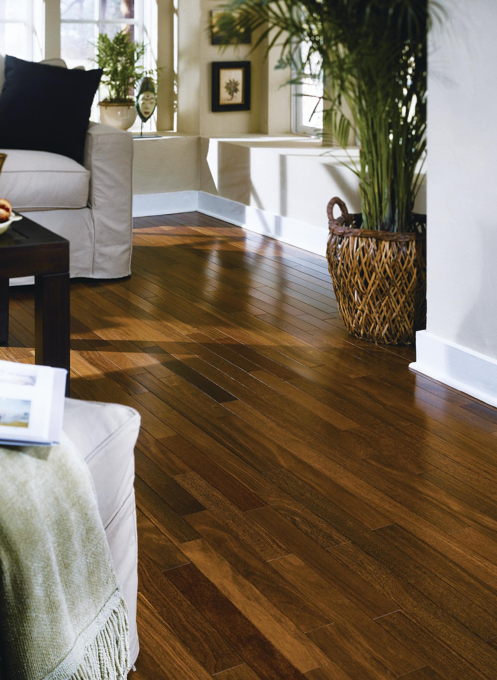 BR-111 Tiete Chestnut