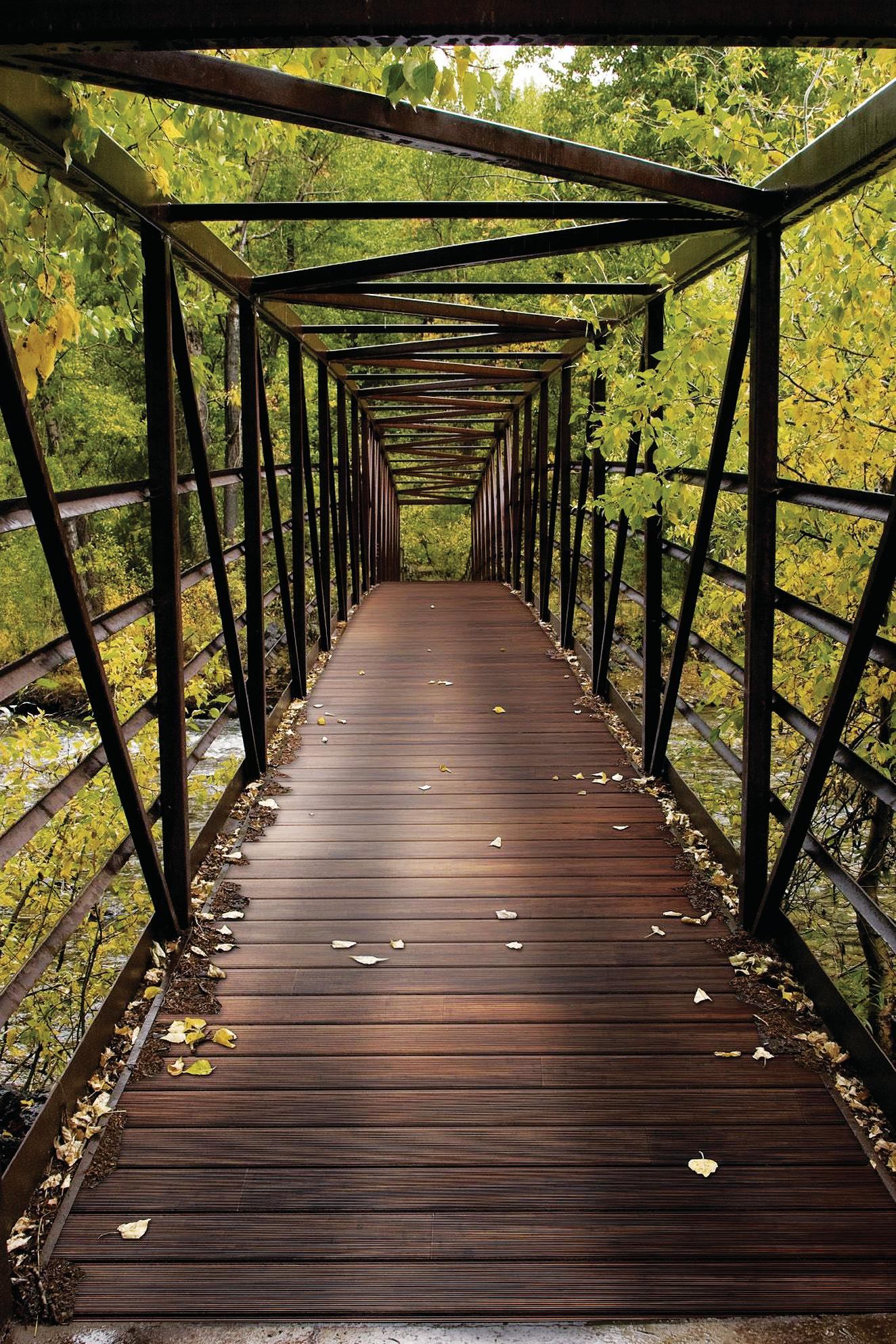 Cali Bamboo Fossilized Strand