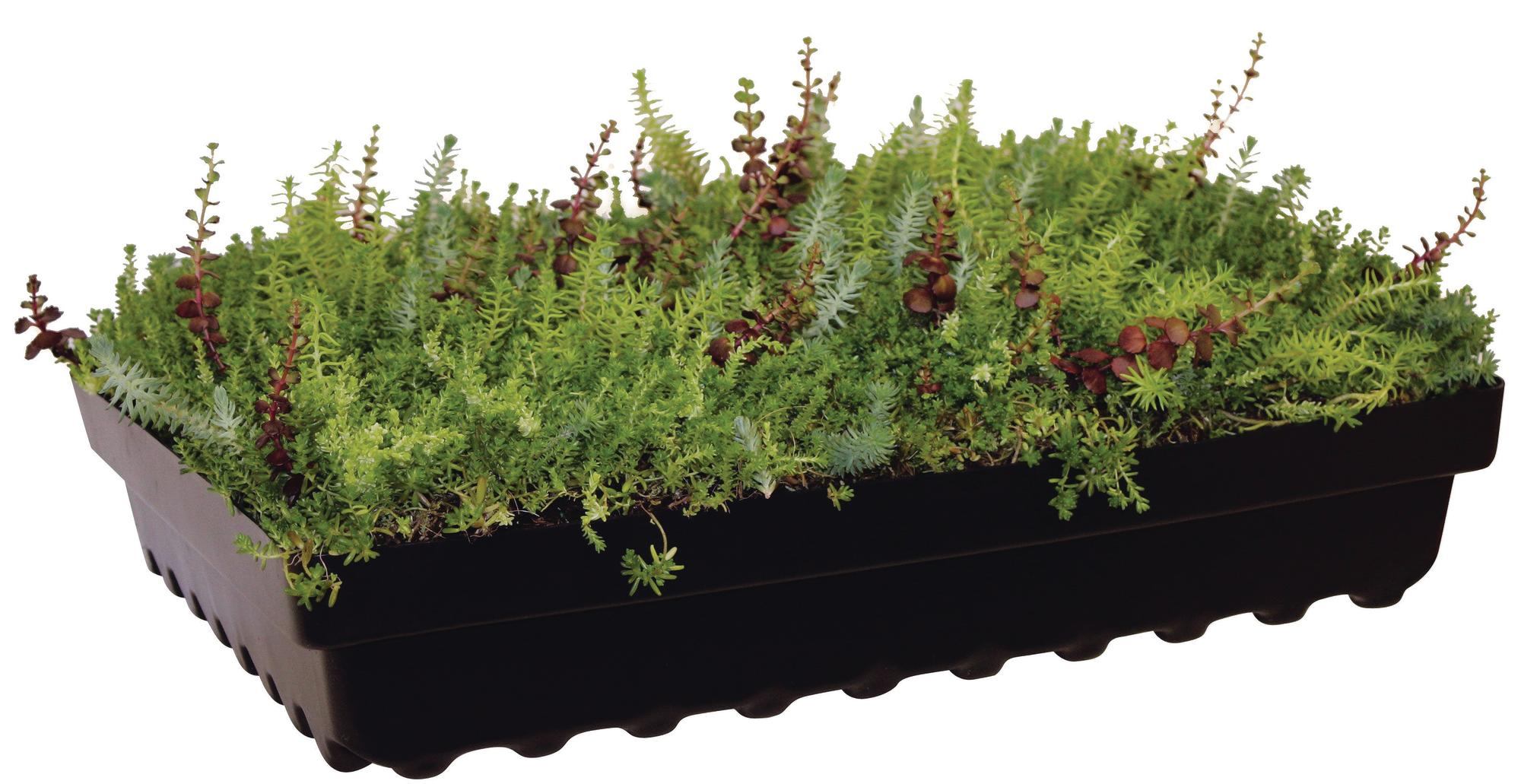 American Hydrotech's Garden Tray GT15 Is Made from Recycled Polyethylene