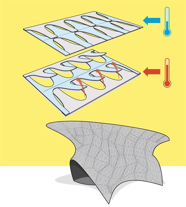 Bloom - Architect Magazine