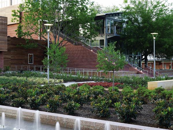 The Grove - Architect Magazine