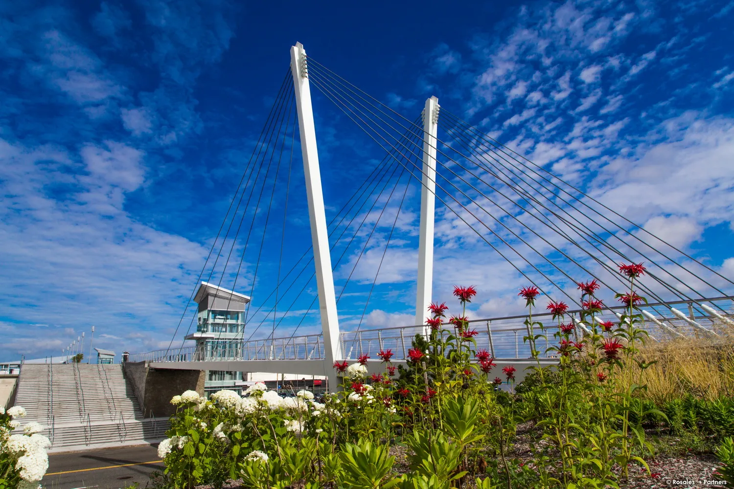 Christina and John Markey Memorial Pedestrian Bridge - Architect Magazine