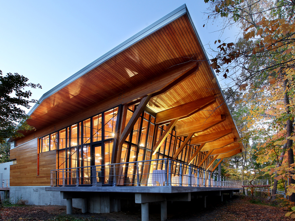 Bissell Tree House - Architect Magazine