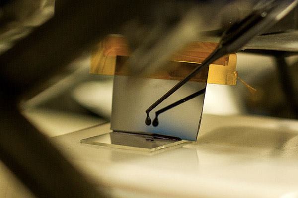 Organic Electronics: Paint Your Own Computer?