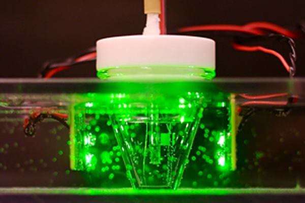 Metal-Transforming Microbes