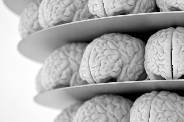 Three Ways Neuroscience Can Inform and Improve Architecture