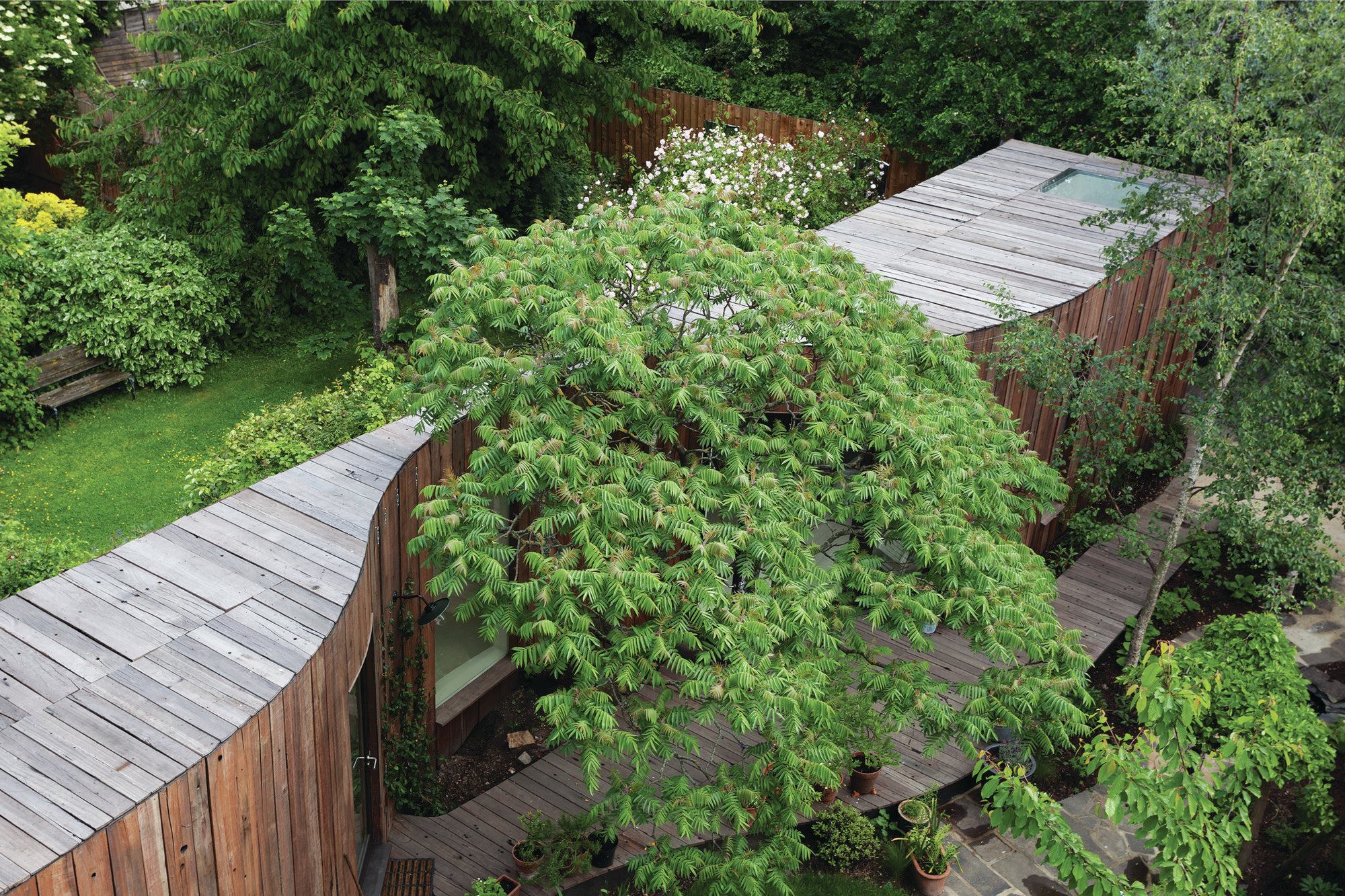 Tree House, Designed by 6a Architects
