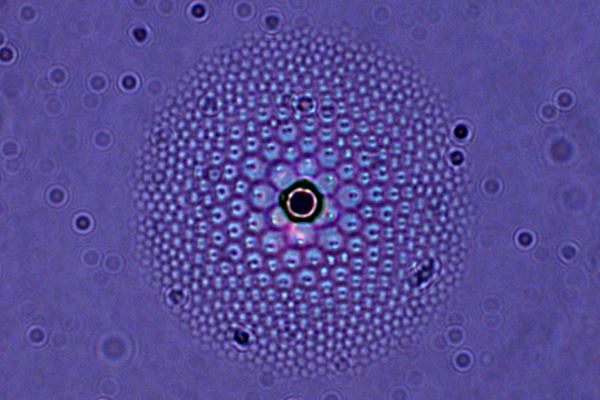 Penn Researchers Develop Self-Assembling Lens