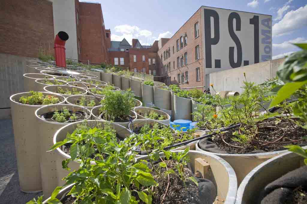 Public Farm One at MoMA PS1 - Architect Magazine