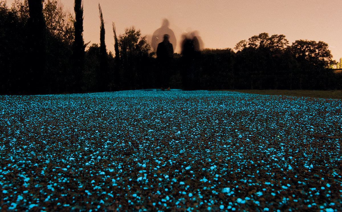 Illuminating Pathways with the Sun and Stars