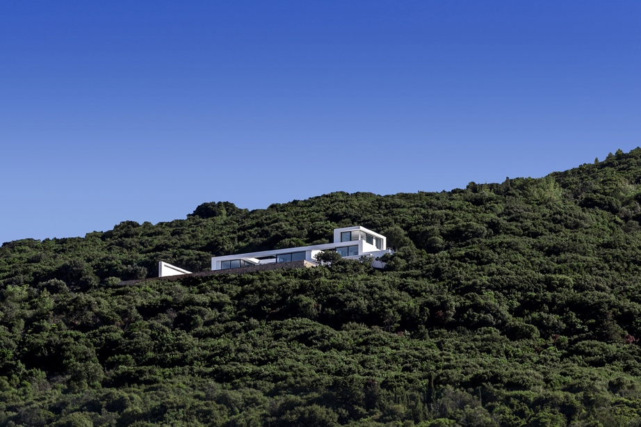 Silver House - Architect Magazine