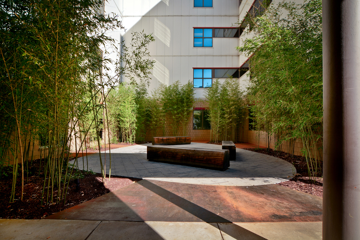 Regional One Medical Courtyard - Architect Magazine