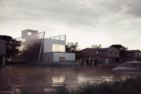 Floating Goose Printable House Plans