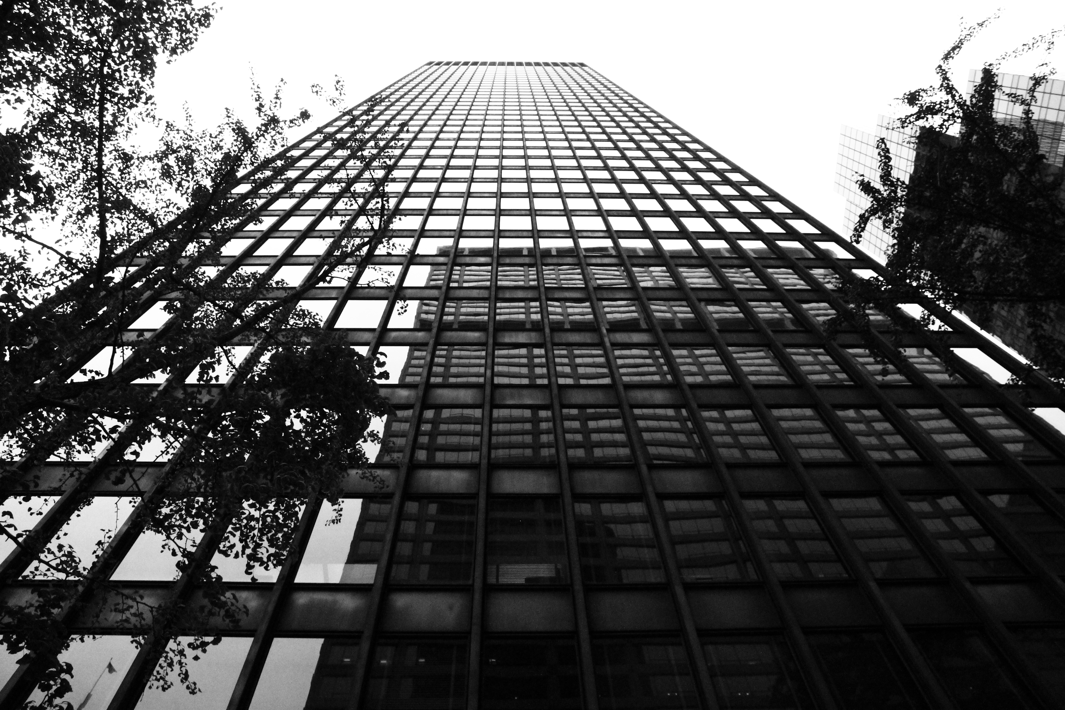 Seagram Building - Architect Magazine