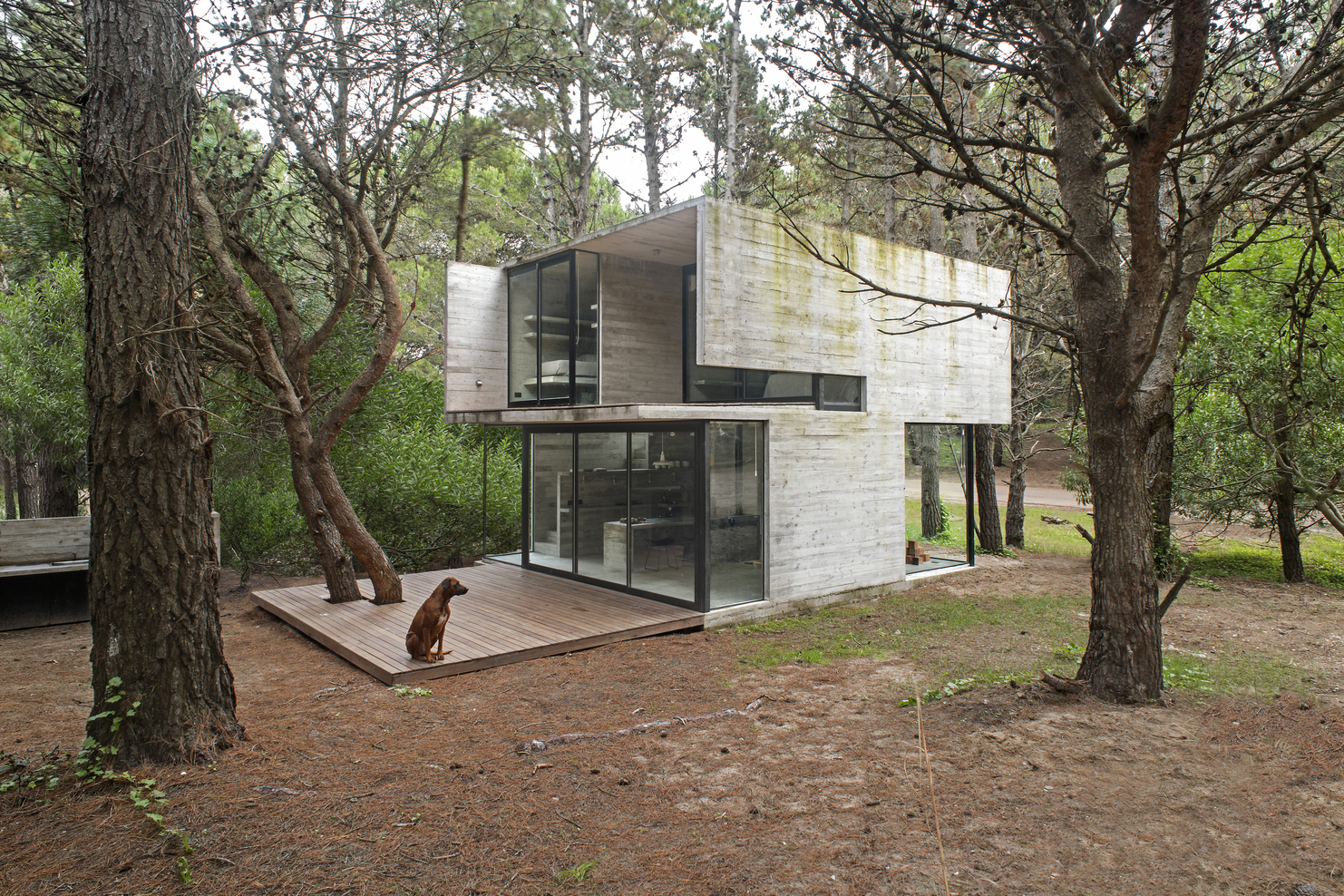H3 House - Architect Magazine