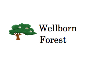 Wellborn Forest Products - Architect Magazine