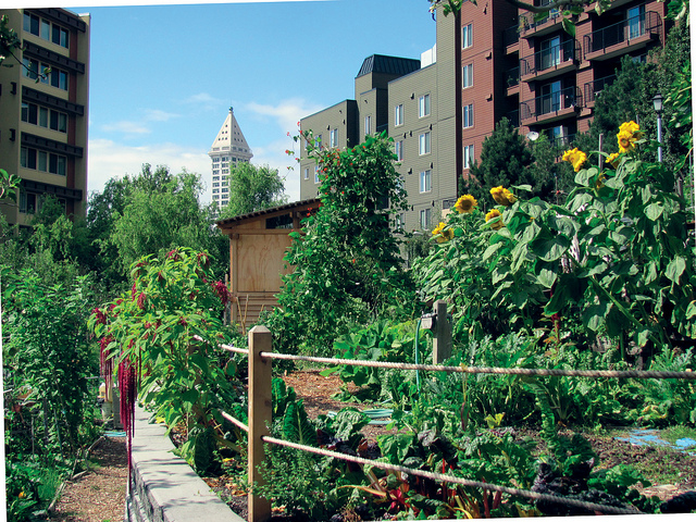 Three Fundamental Truths About Urban Farming