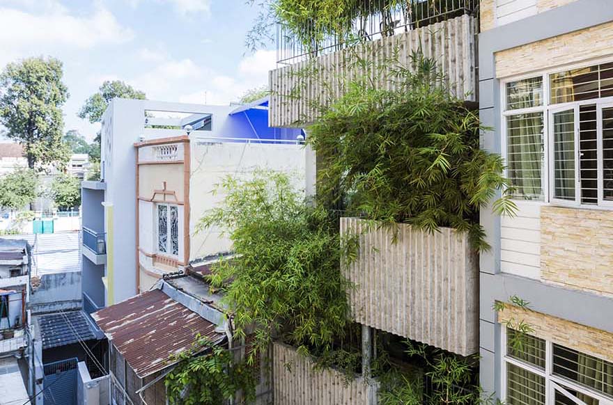 Bamboo House - Architect Magazine
