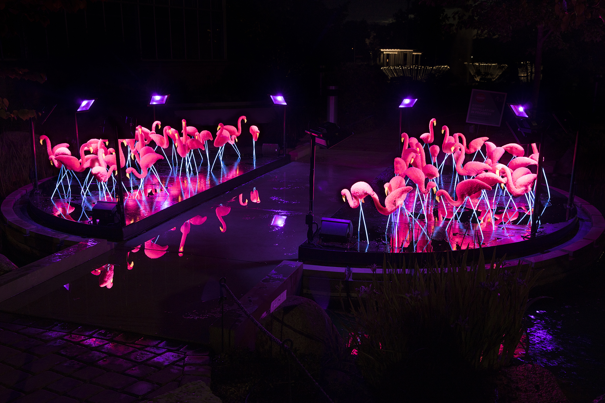 Bruce Munro at the Nicholas Conservatory and Gardens