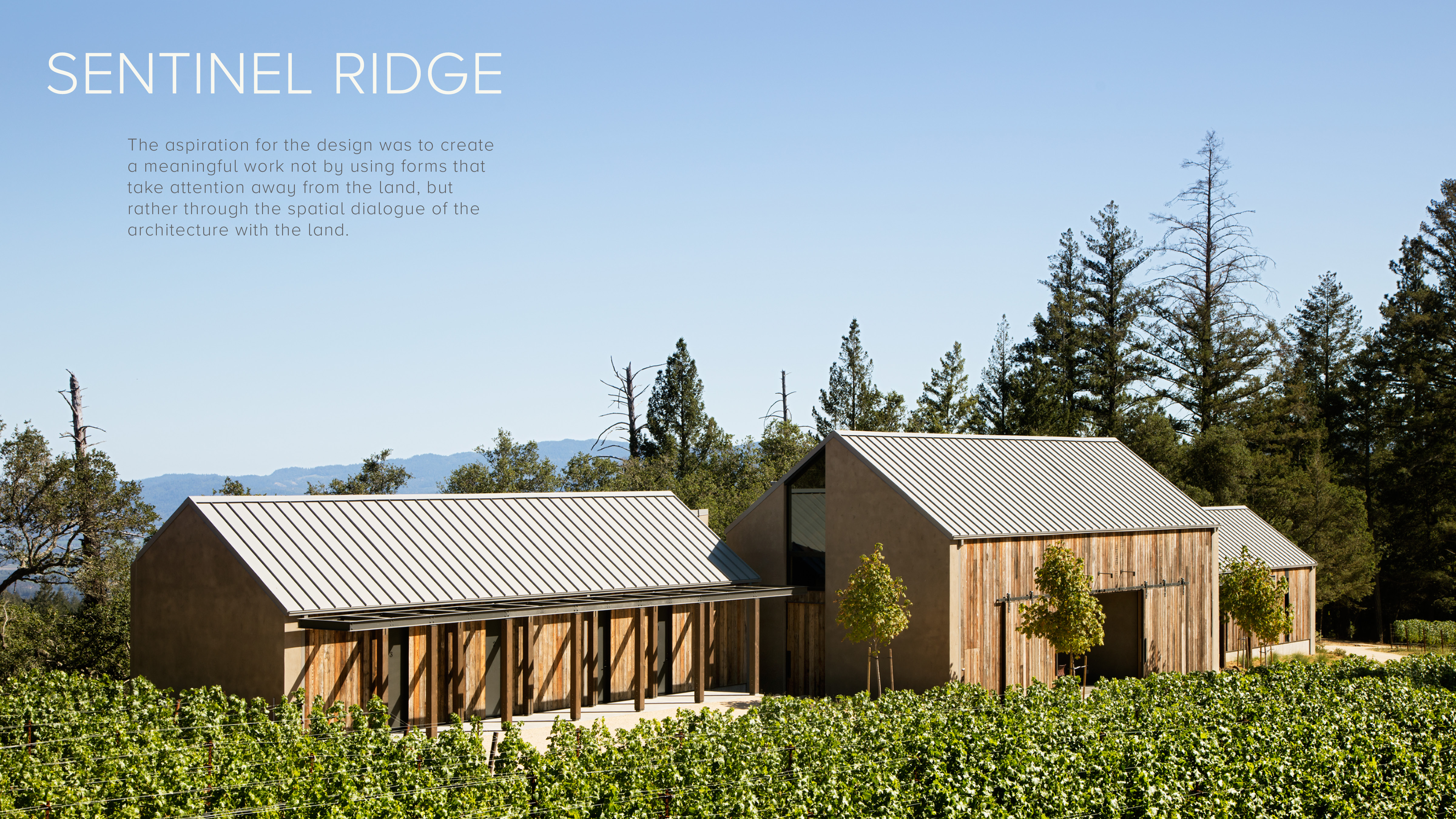 Sentinel Ridge - Architect Magazine