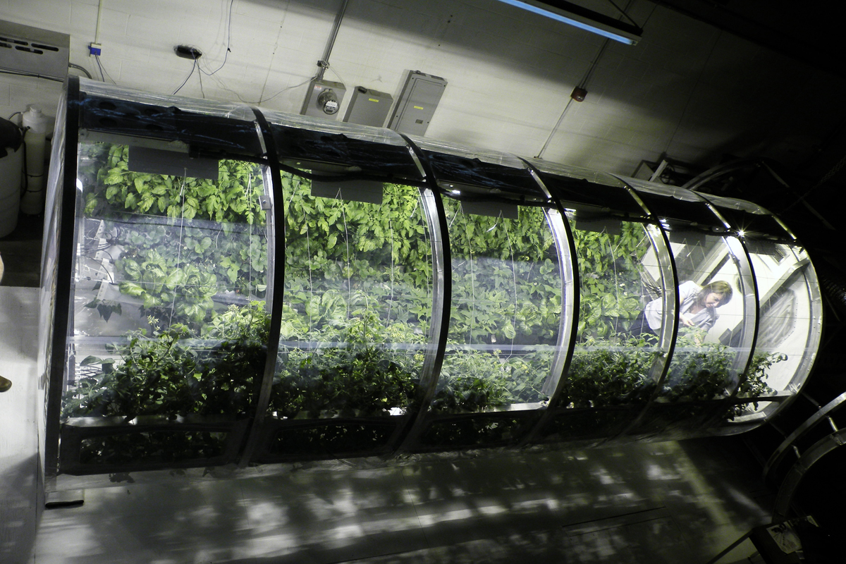 This Week in Tech: An Inflatable Greenhouse to Feed Martians
