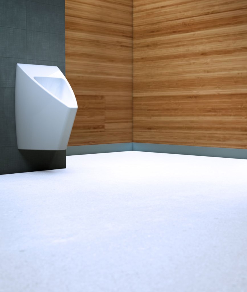 Entering a Brave New World One Restroom at a Time
