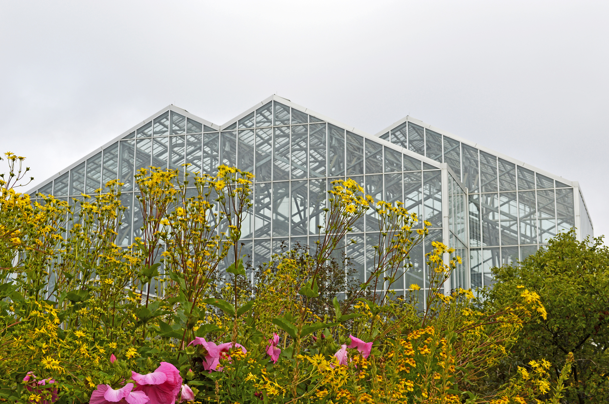 A Look at Frederik Meijer Gardens 20 Years Later