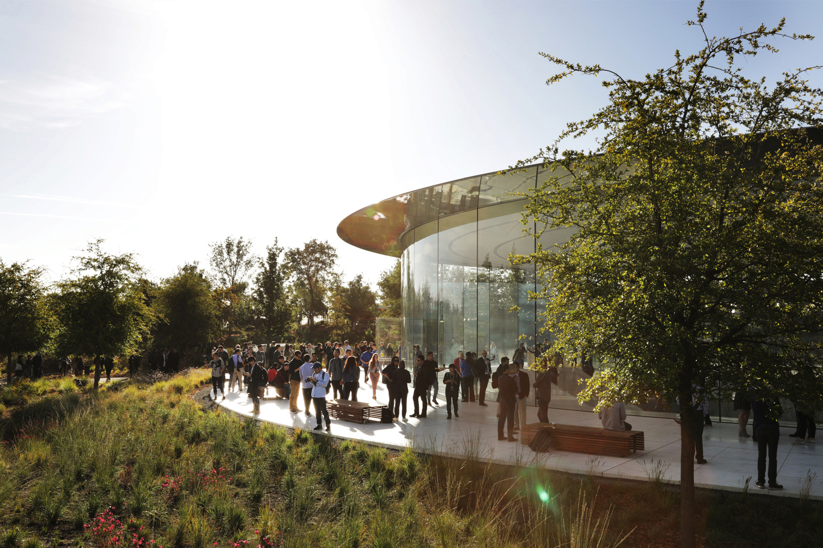 The Untold Story of Apple Park