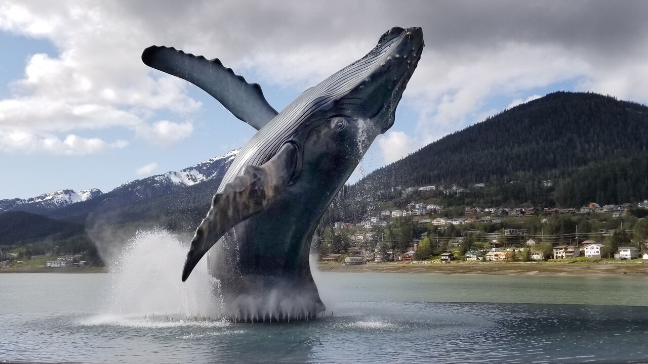 A Whale of a Project - Architect Magazine