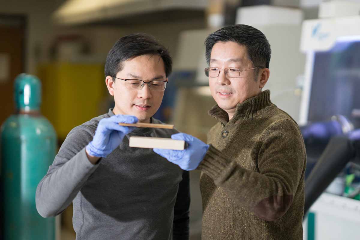 This Week in Tech: Super Wood that Could Replace Steel