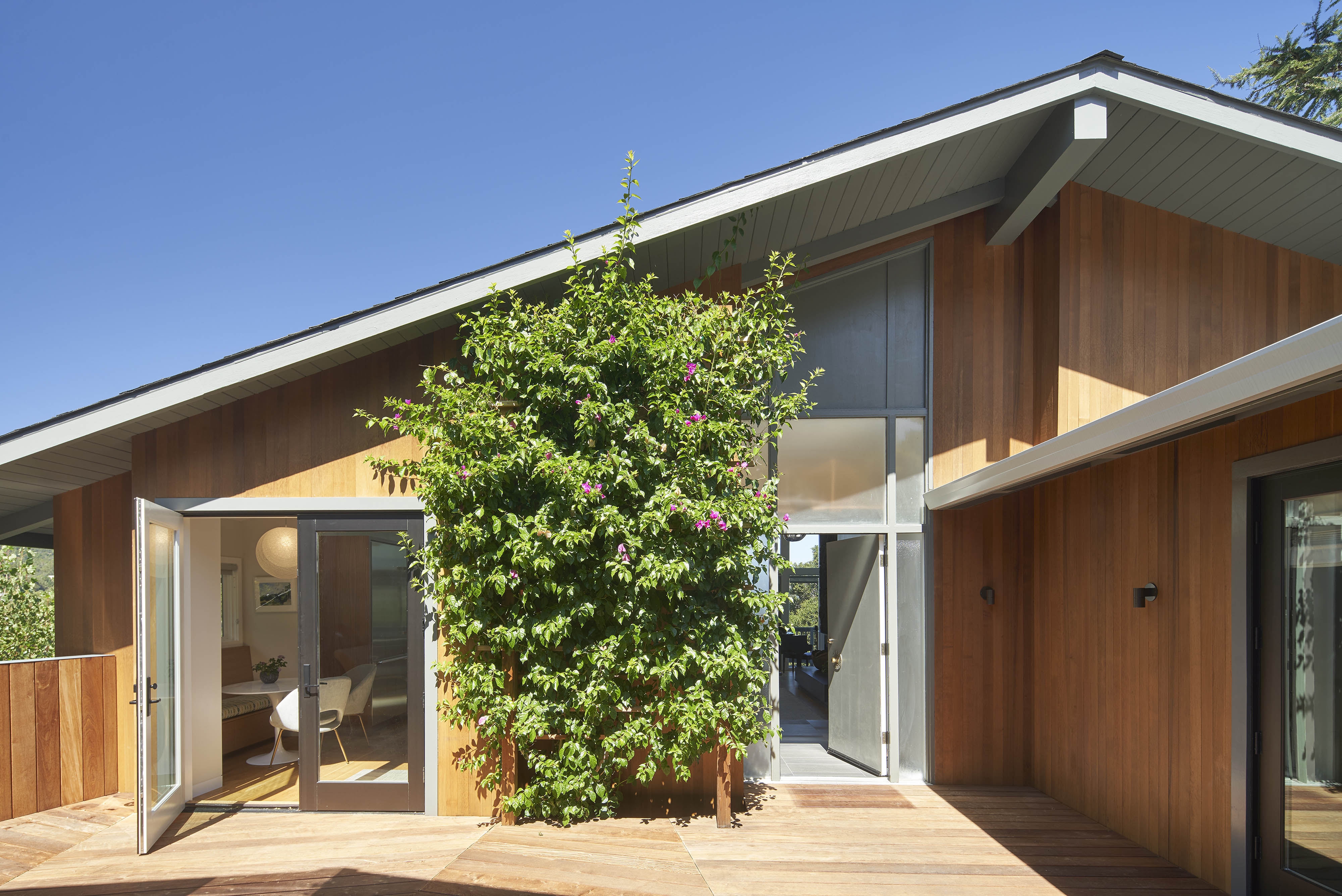 Hillside Courtyard House - Architect Magazine