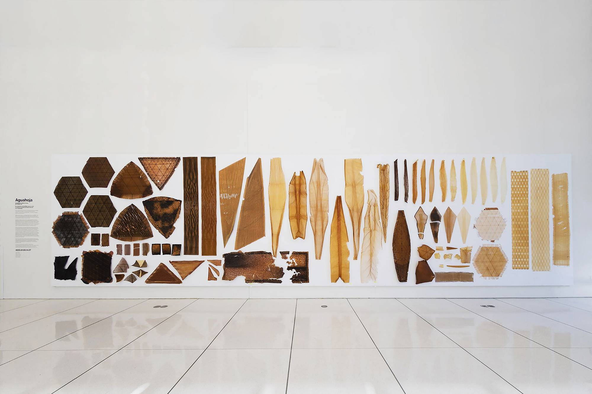 Cooper Hewitt to Showcase Design Interventions for Climate Change in a ...