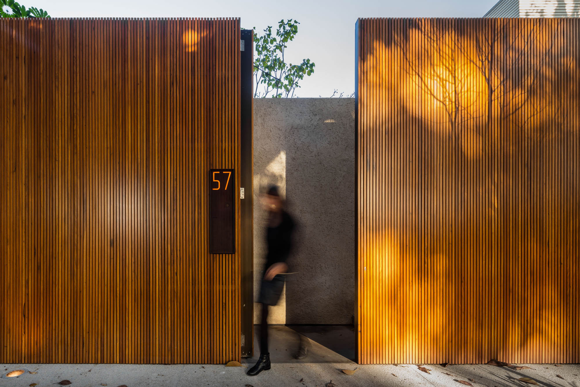 C+C House - Architect Magazine