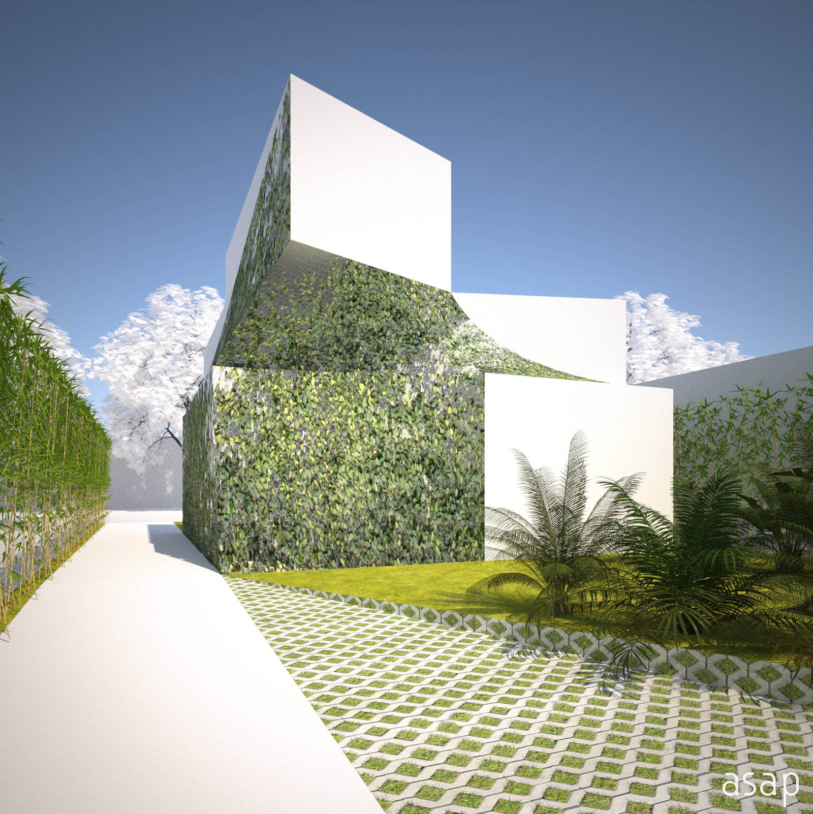 asap/ adam sokol architecture practice - Architect Magazine