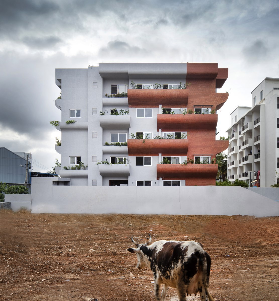 Axis Vanam - Architect Magazine