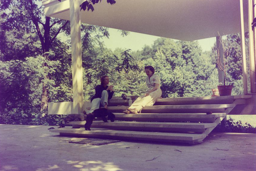 The Farnsworth House on Trial