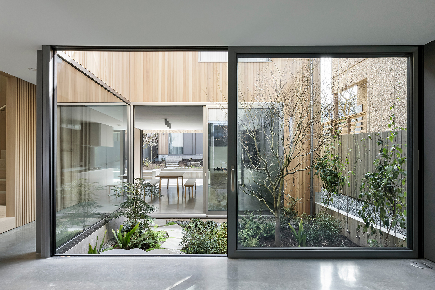Courtyard House - Architect Magazine