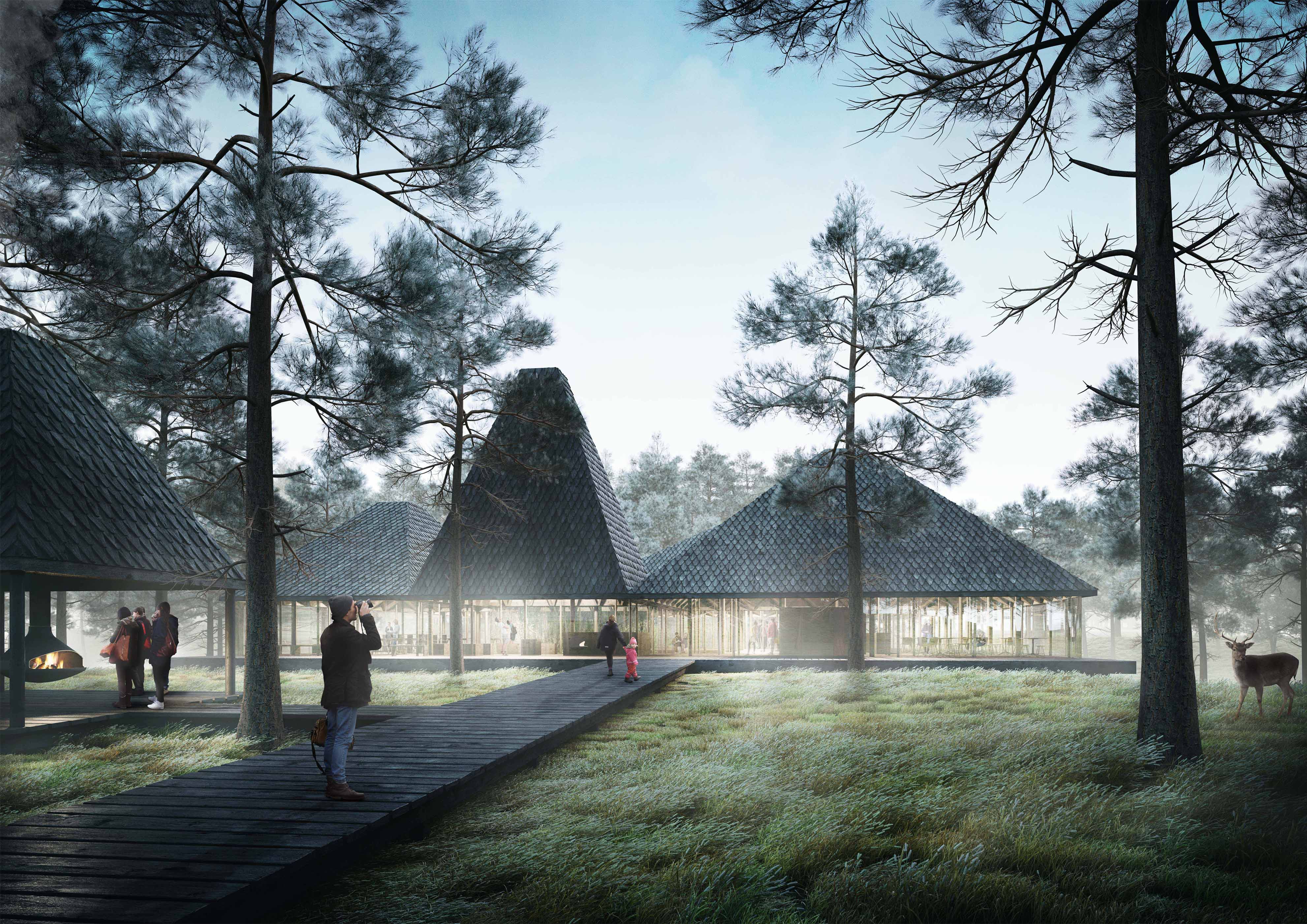 Museum of Forest Finn - Architect Magazine