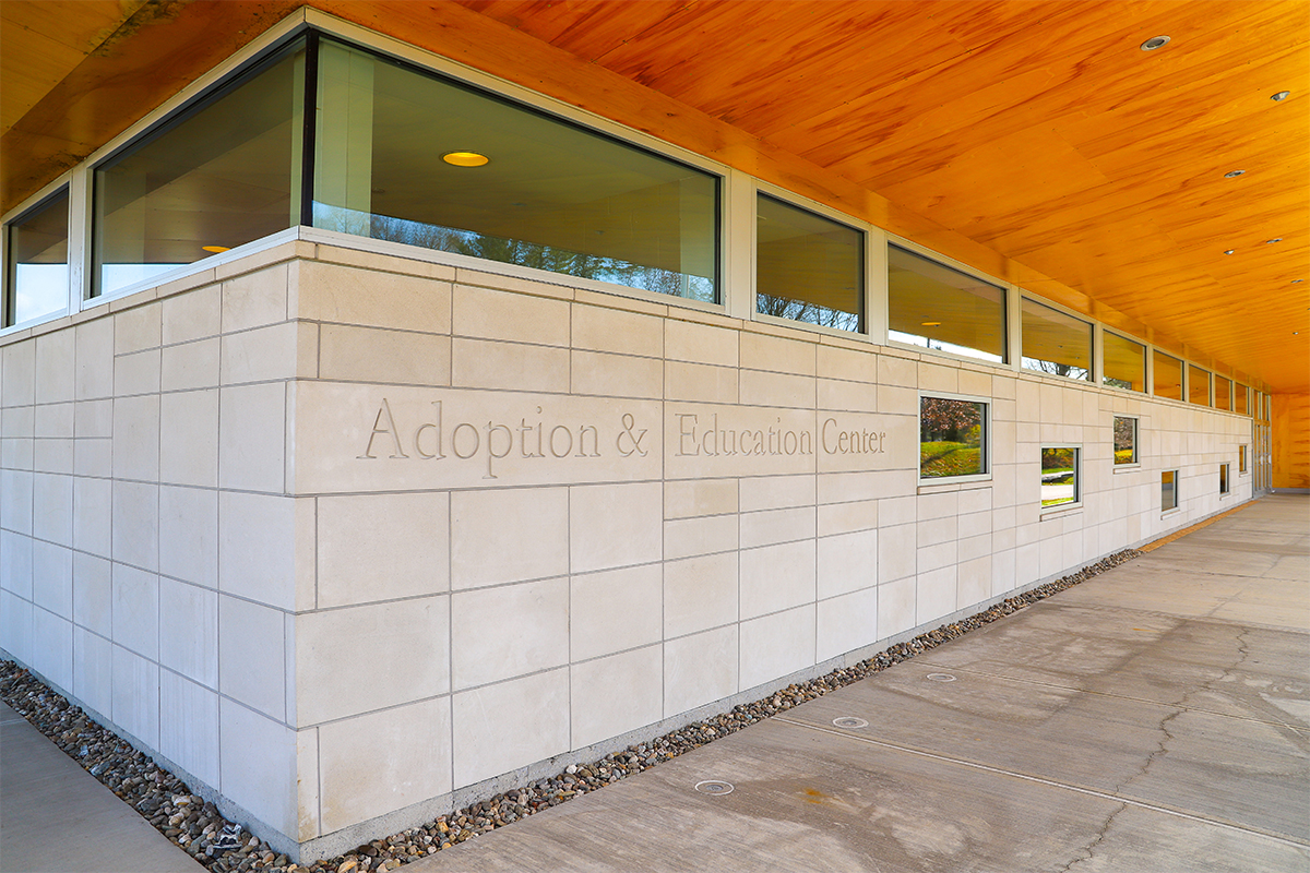 Building a modern animal shelter