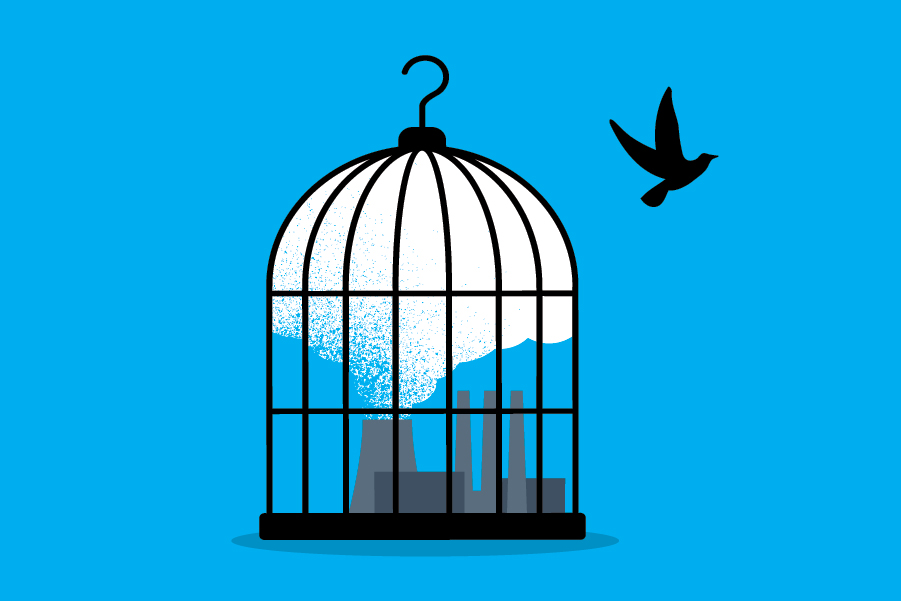 CarbonPositive: Evolving the Embodied Carbon Landscape