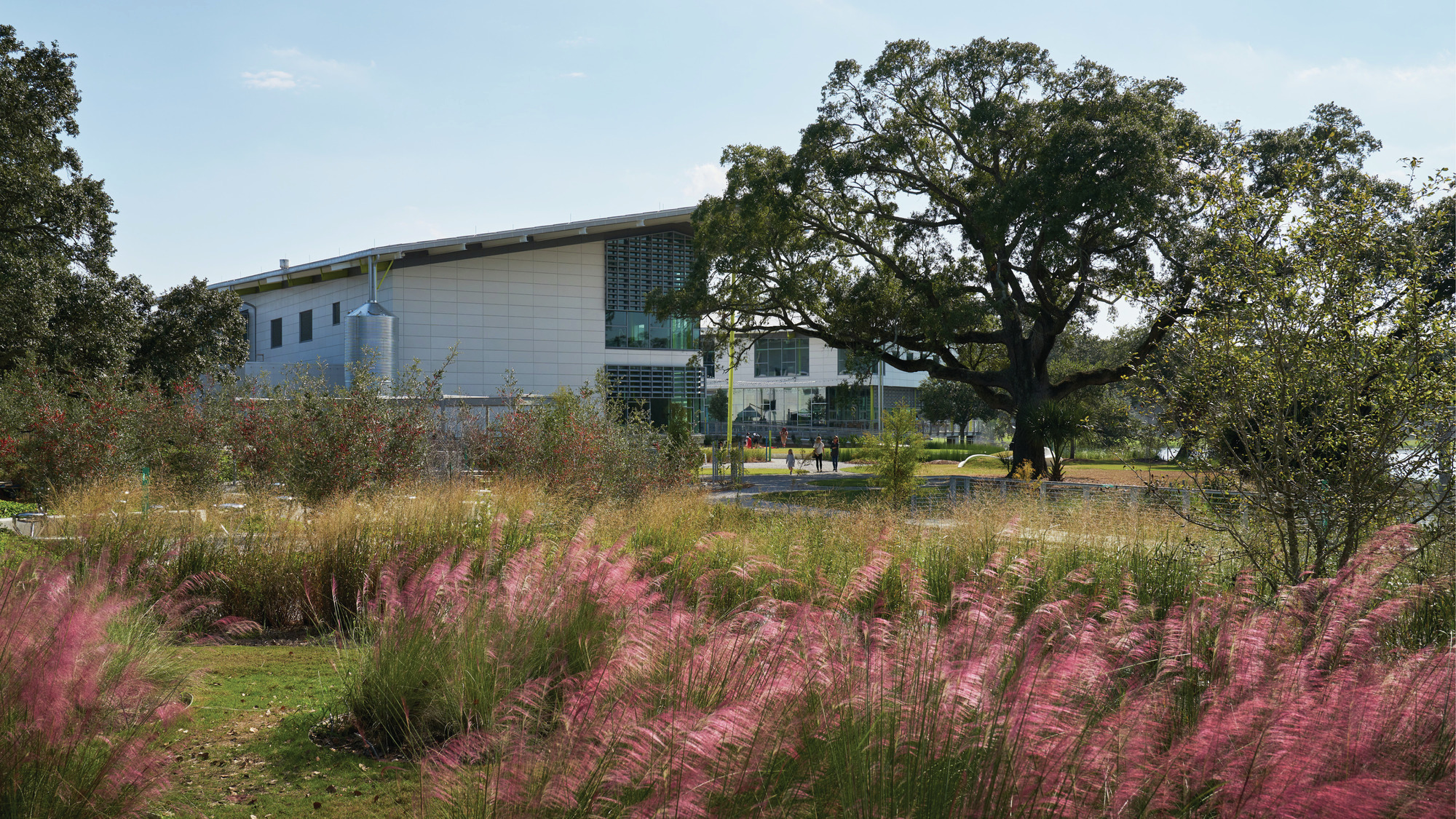 Mithun - Architect Magazine