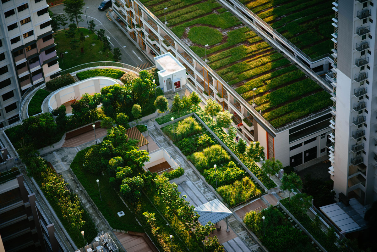 What Are the Benefits of New, Sunlight-Mimicking LED Lights?