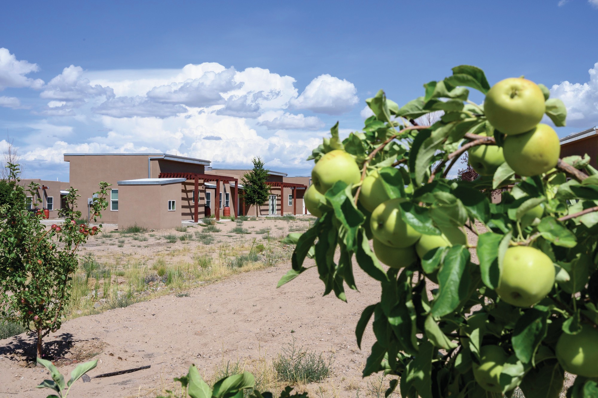 MASS Design Group and Atkin Olshin Schade Architects Merge Santa Fe Offices