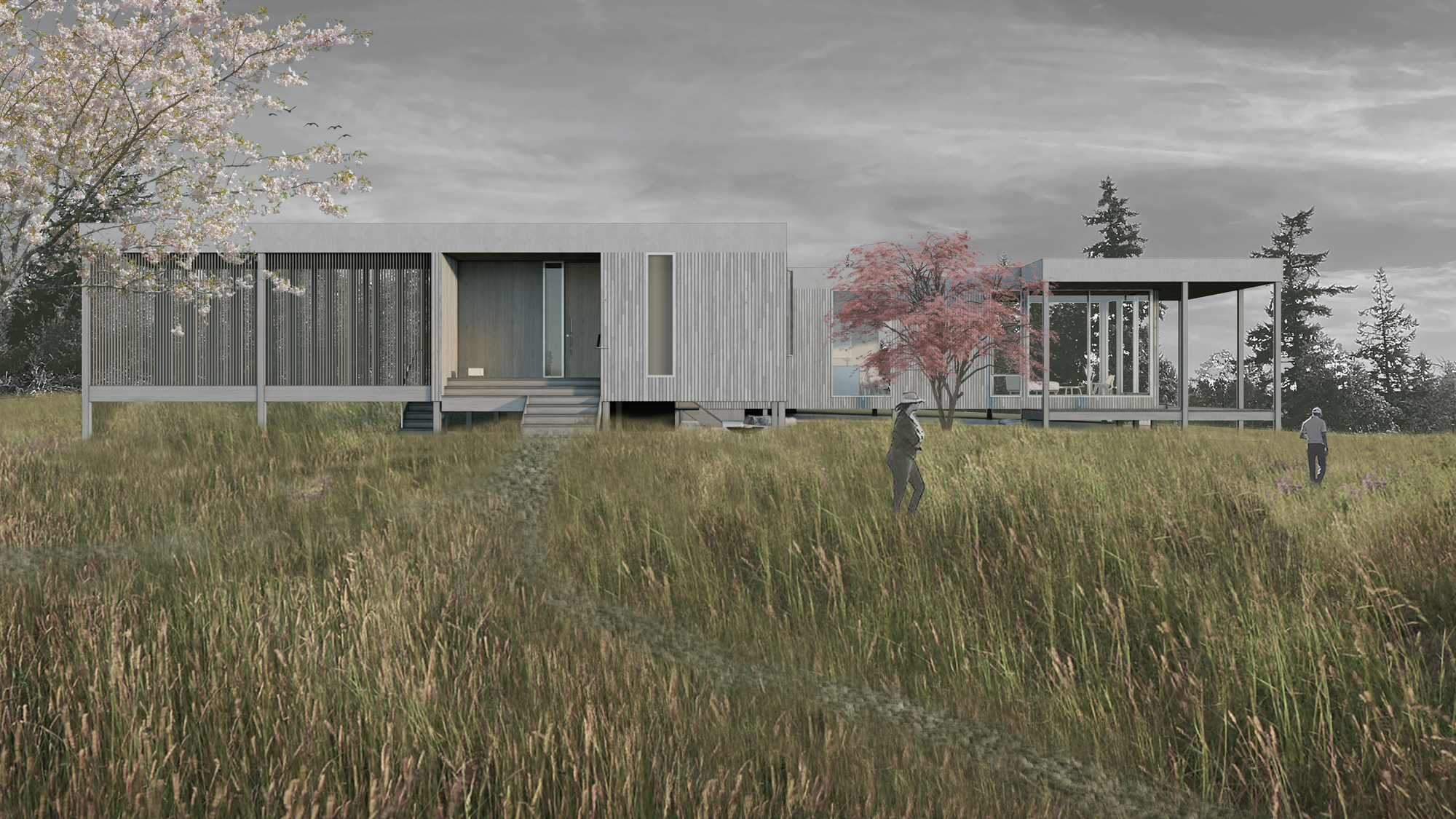 Architects in the Wild