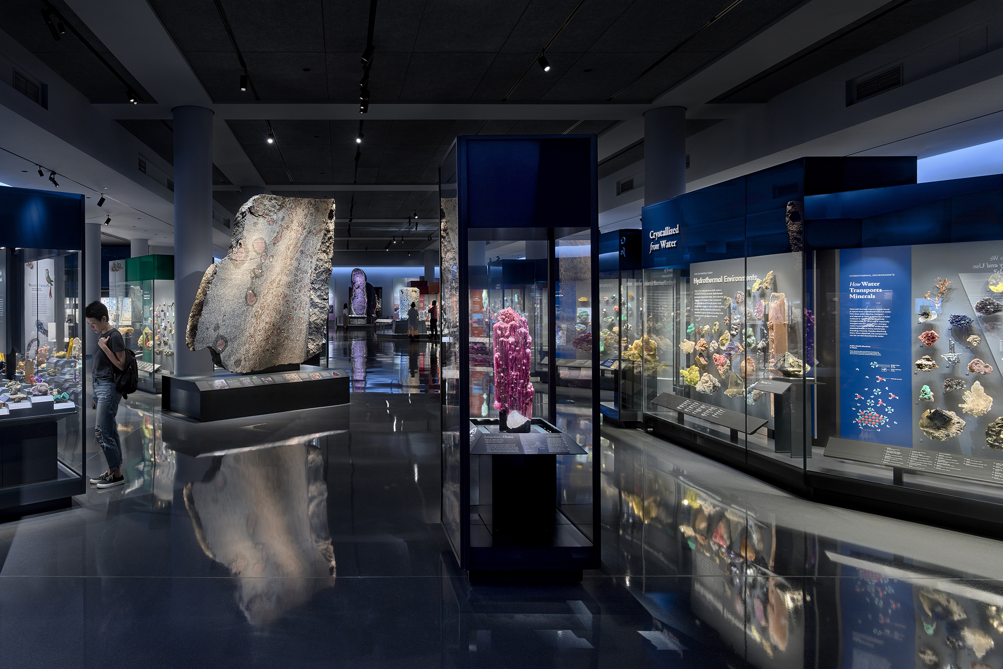 American Museum of Natural History, Allison and Roberto Mignone Halls ...
